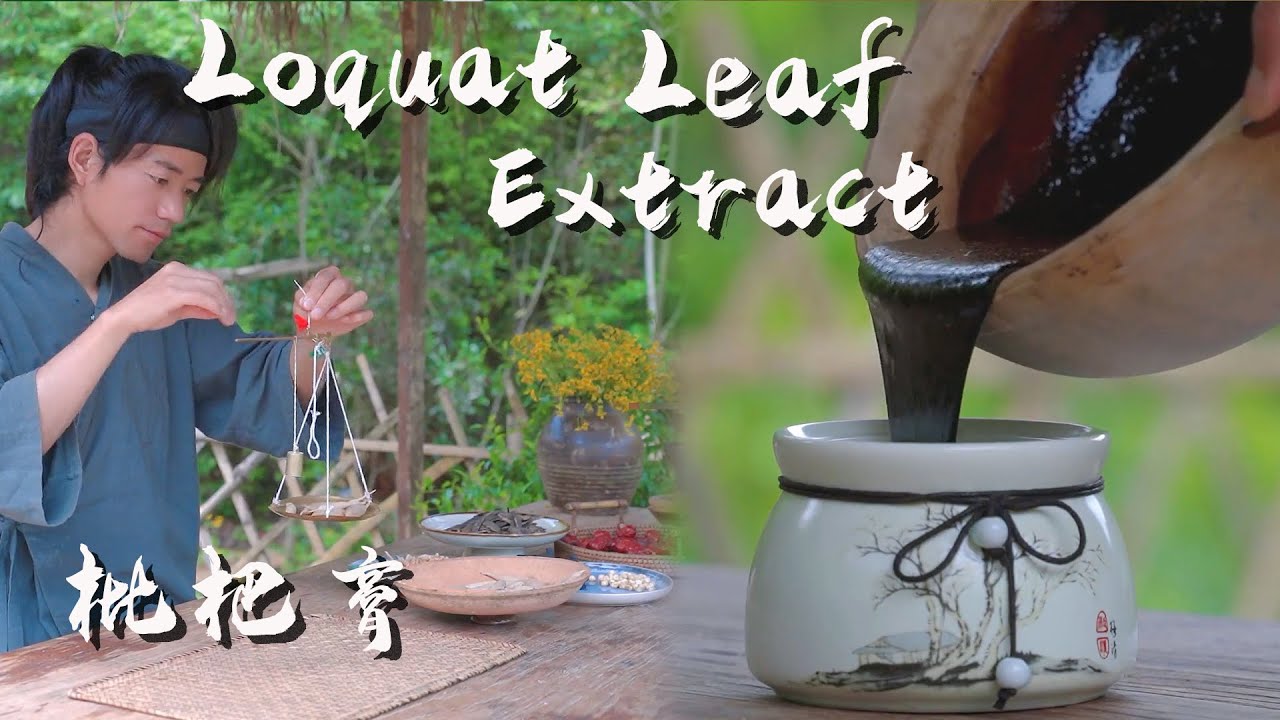 Loquat Leaf Extract：Made from Seven Traditional Chinese Medicines - YouTube