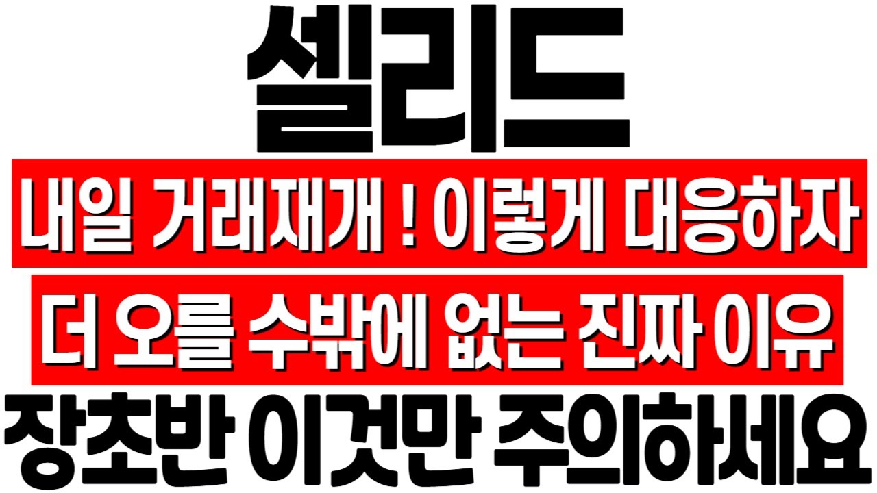 셀리드 주가 전망 내일 거래 재개 장 초반 이것만 주의하세요 투자위험 공시에 휘둘리면 안됩니다 코로나 관련주 셀리드 유상증자 분석 셀리드 목표가 셀리드 신주