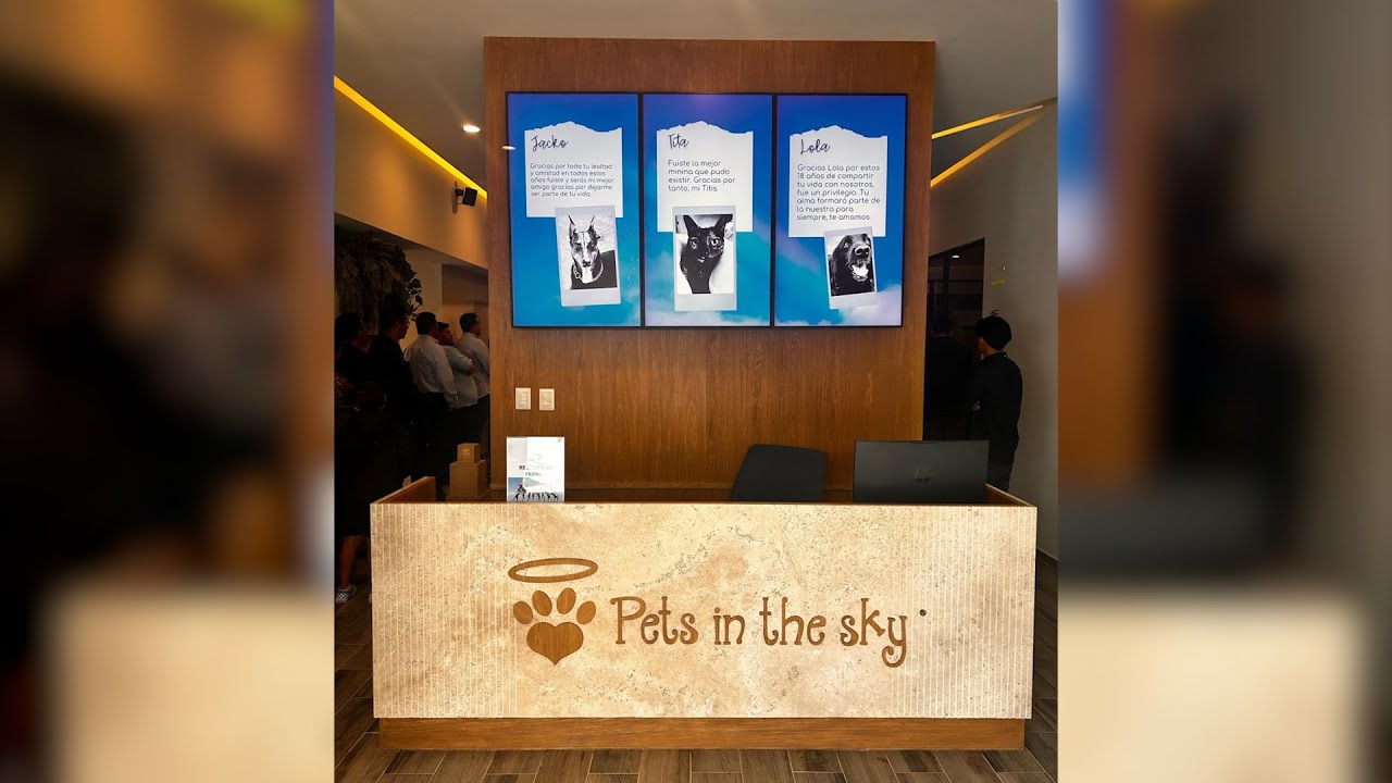 3 Soluciones Digital Signage | Pets in the Sky, San Jerónimo, CDMX ...