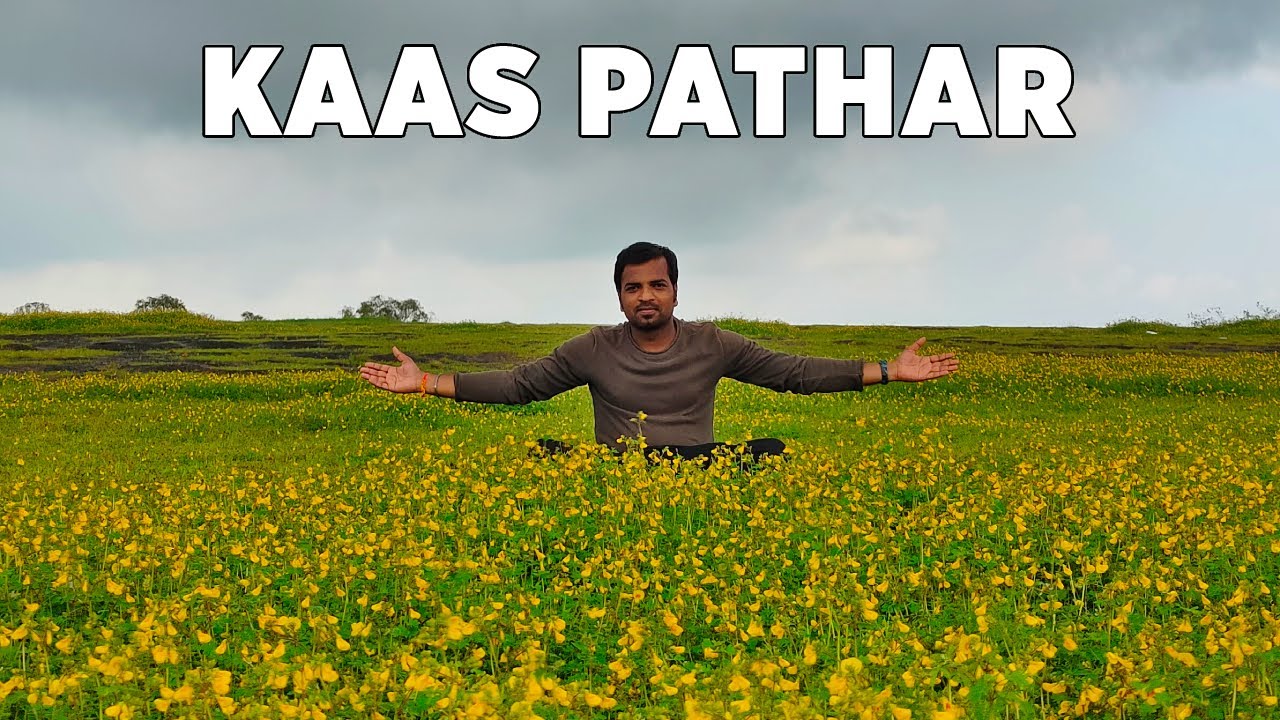 Kaas Pathar Satara | कास पठार | Kaas Plateau | The Valley of Flowers ...