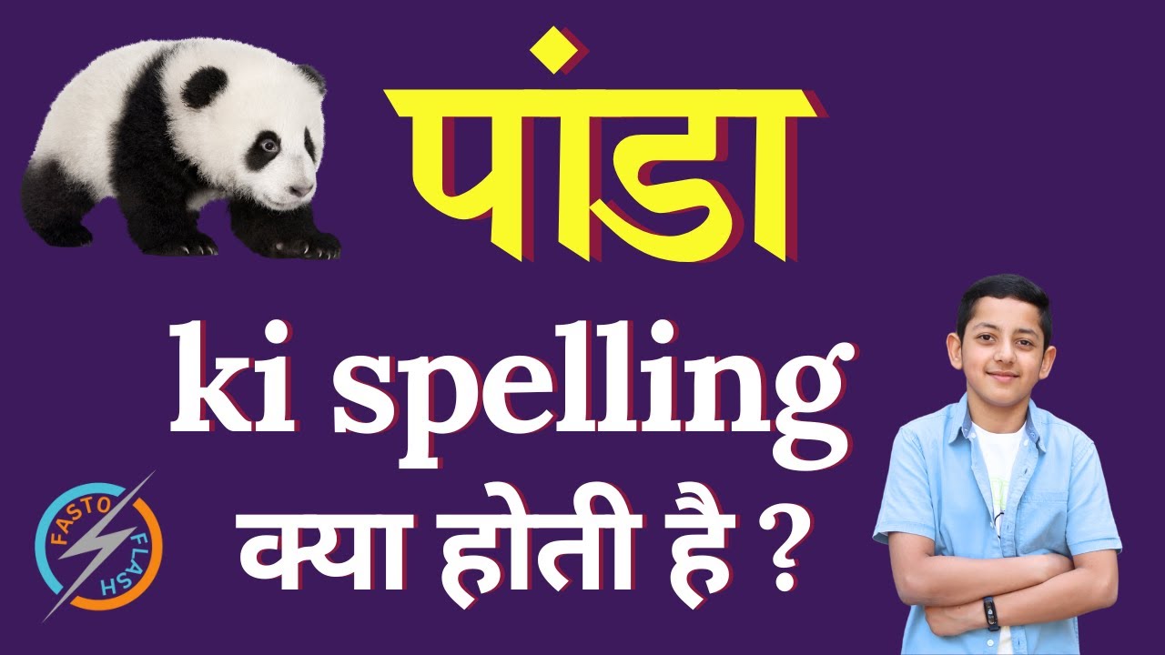 पांडा की स्पेलिंग क्या होती है | panda ki spelling | panda in English ...