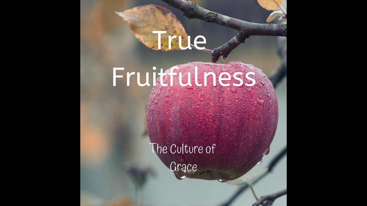 True Fruitfulness - The Culture of Grace Series - YouTube