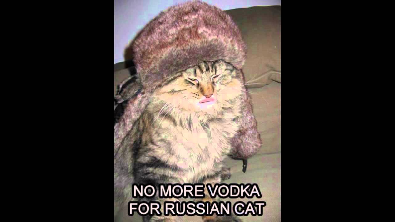 Cat Comrades Classic - RussianCat Sings! - YouTube