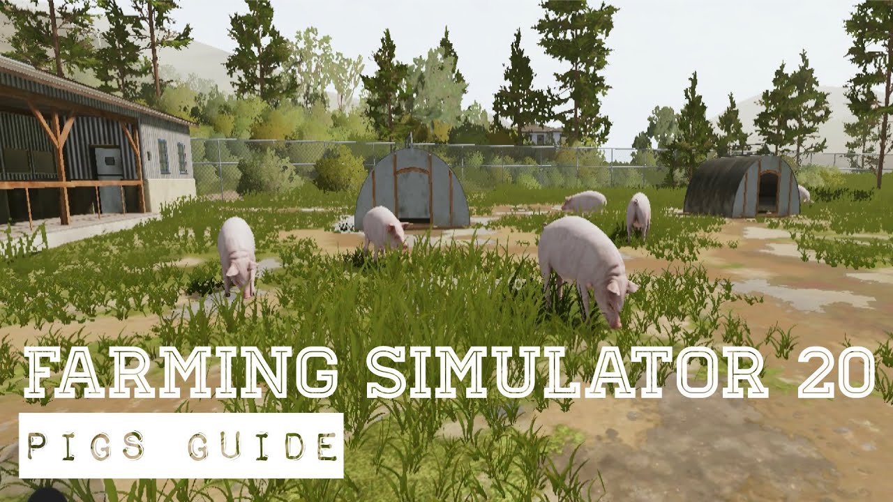 Farming Simulator 20 - Pigs Guide - YouTube
