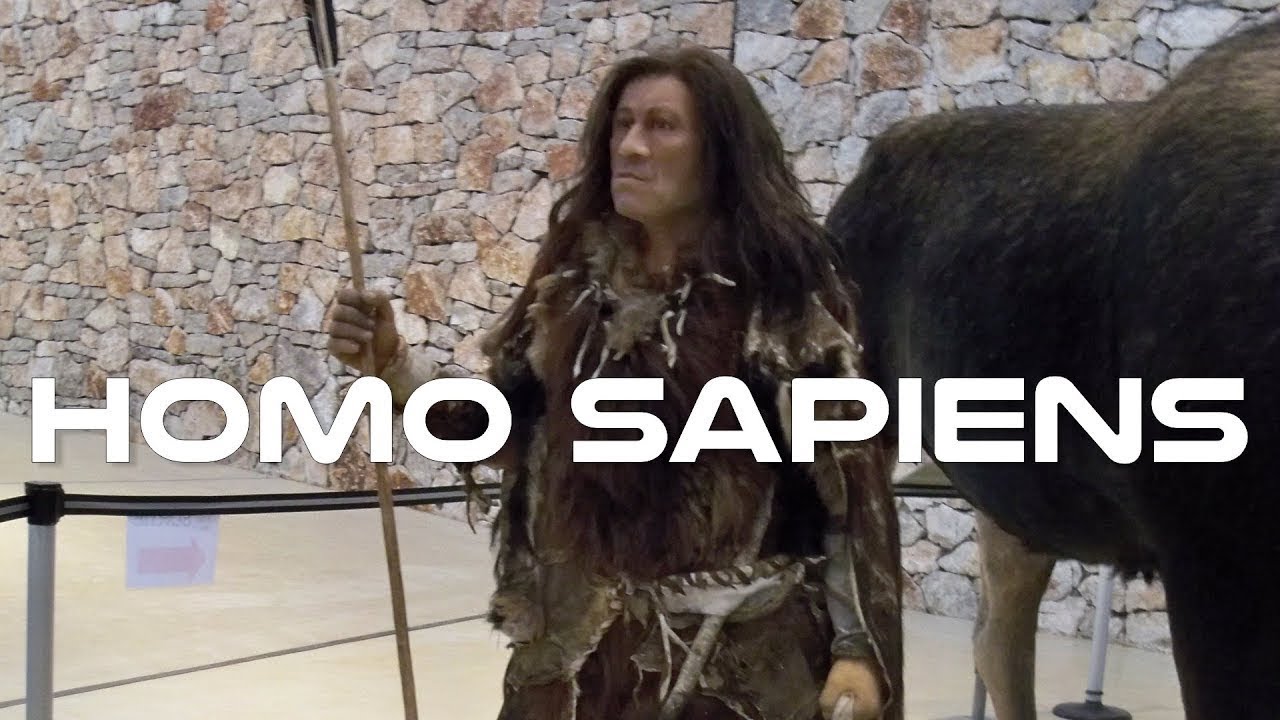 Homo Sapiens Documentary - YouTube
