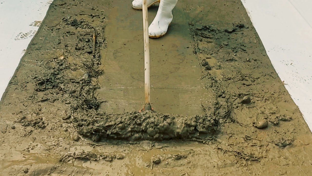 You will be surprised to see so many mud - Washing mud carpets of ...