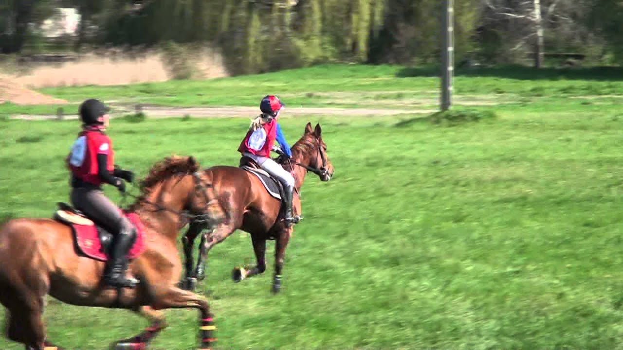 Habsburg-Lothringen Zsófia - Zengő - CNC* - Bábolna 2015 - YouTube