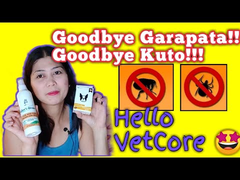 Garapata sa Aso Paano Tanggalin? /tick and flea/ Garapata Tips/ jenny ...