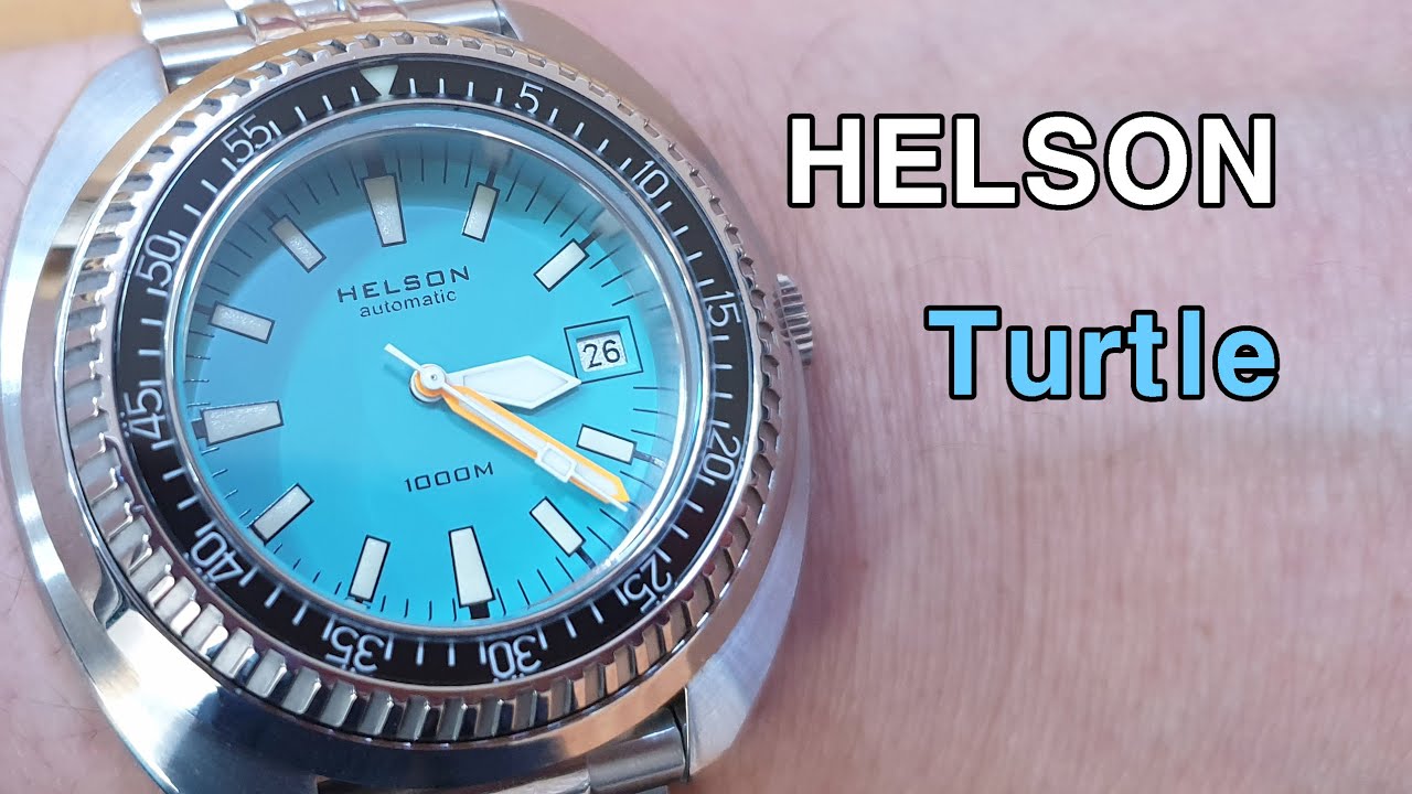 헬슨 (helson turtle) 돼지 거북이 - YouTube