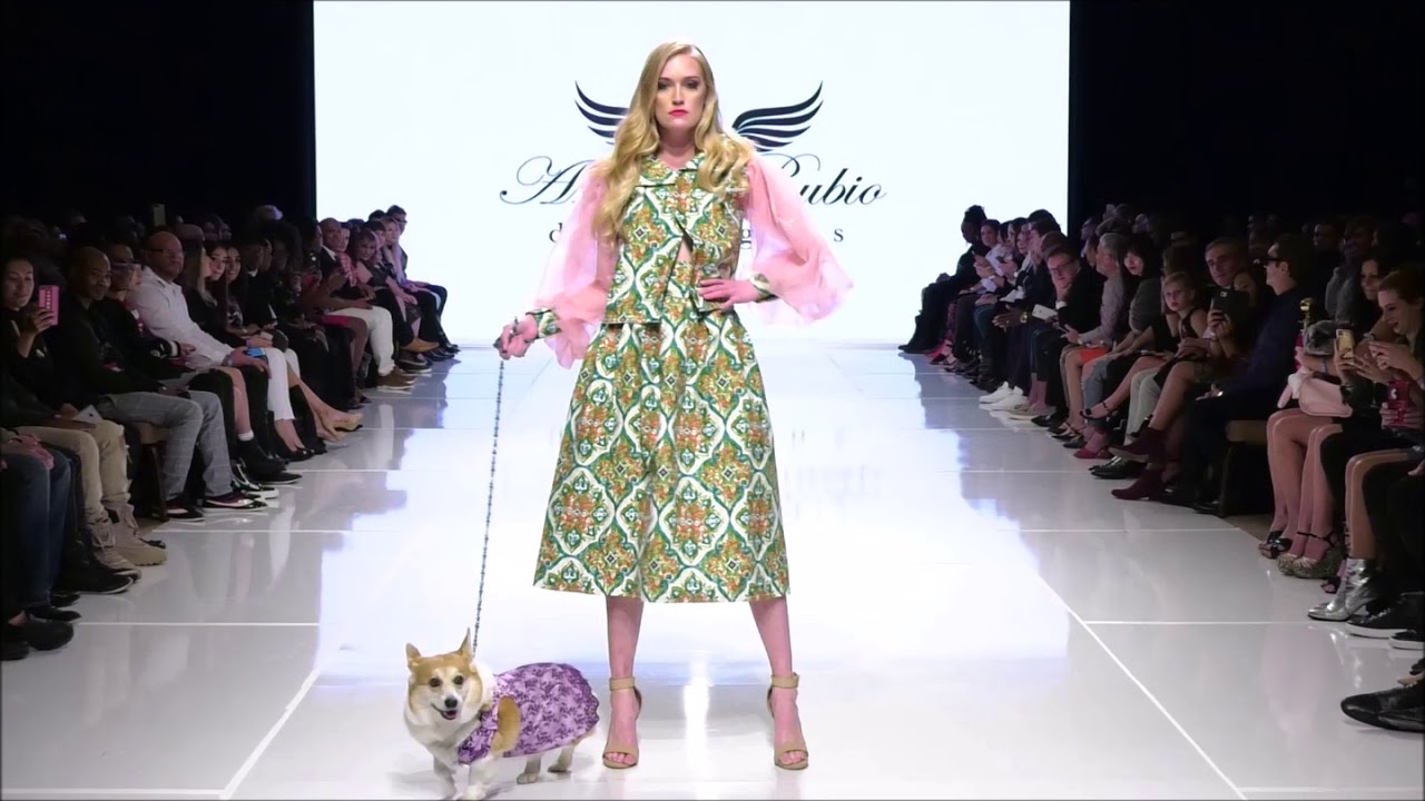 Sneakers the Corgi Runway Walk Fail at LA Fashion Week - YouTube