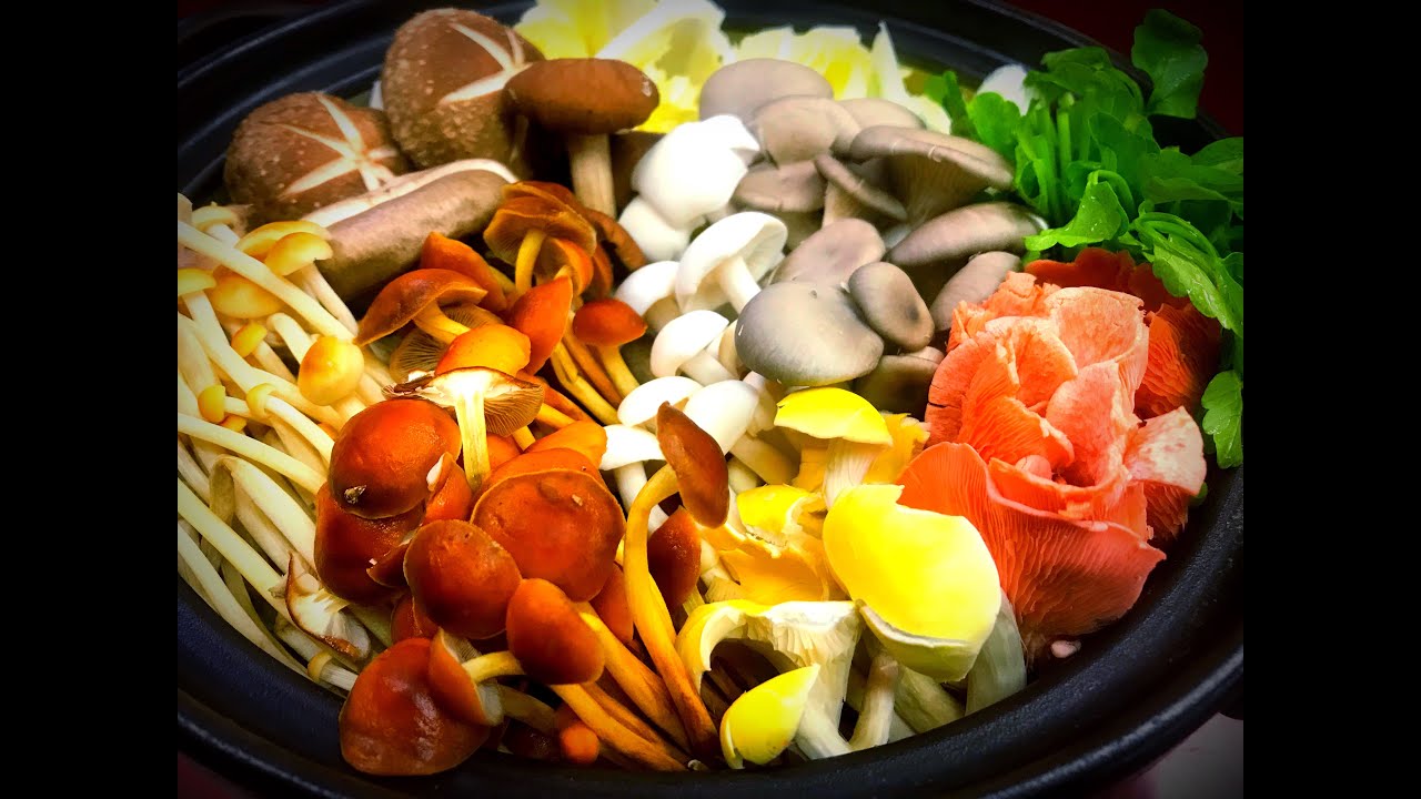 10 kinoko introduction - YouTube