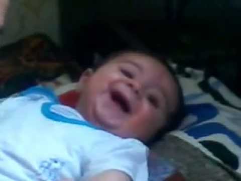 BACIM OGLU VAQIF GULUR