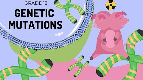 Gr.12(LS): Genetics & Inheritance by Miss Angler - YouTube