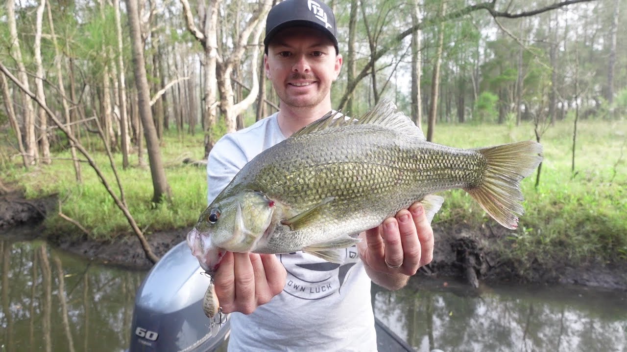 Last Skinny water bass for the year. Log jumping galore - YouTube