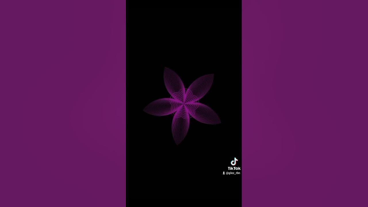 Flor Hecho Con Turtle Python Python Programming Coding Shorts Youtube