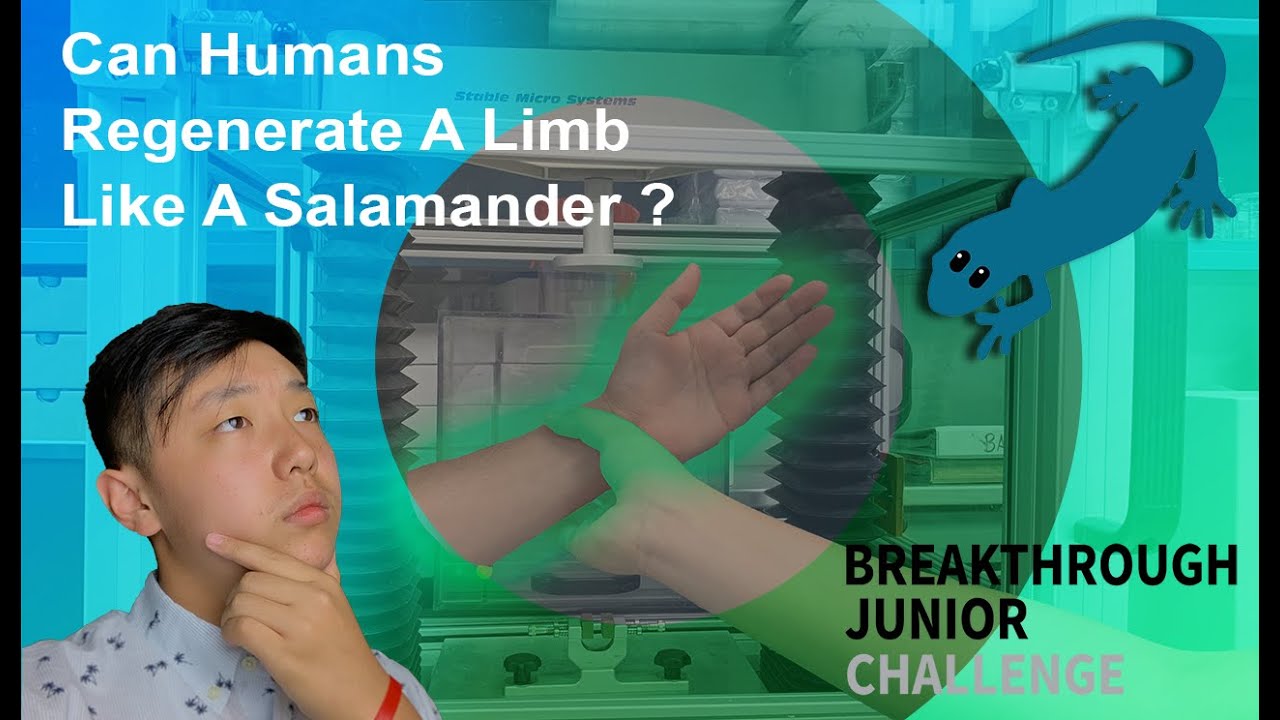 Breakthrough Junior Challenge 2020 | What is Regenerative Medicine ...