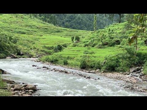 #Rural Nepal #Amazimg place #peaceful moment - YouTube