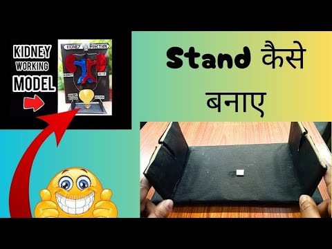 School Science projects l Kidney working model /How to make stand #diy ...