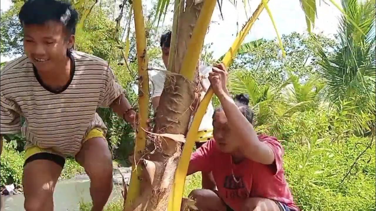 Kawatan ug butong. - YouTube