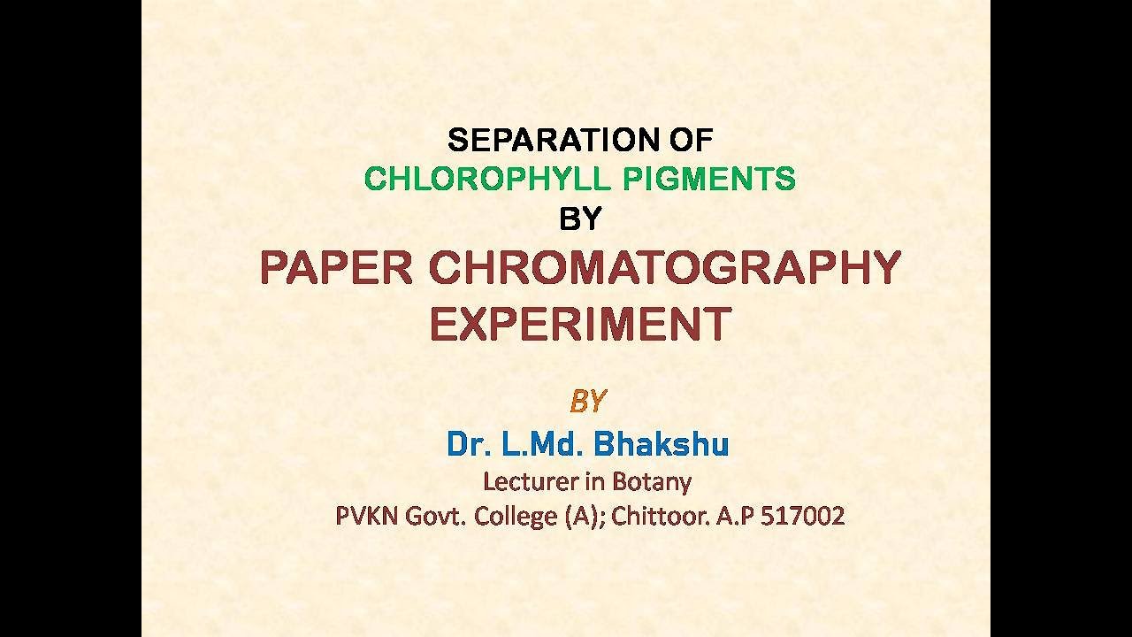 paper chromatography experiment Botany, PVKN Government College (A ...