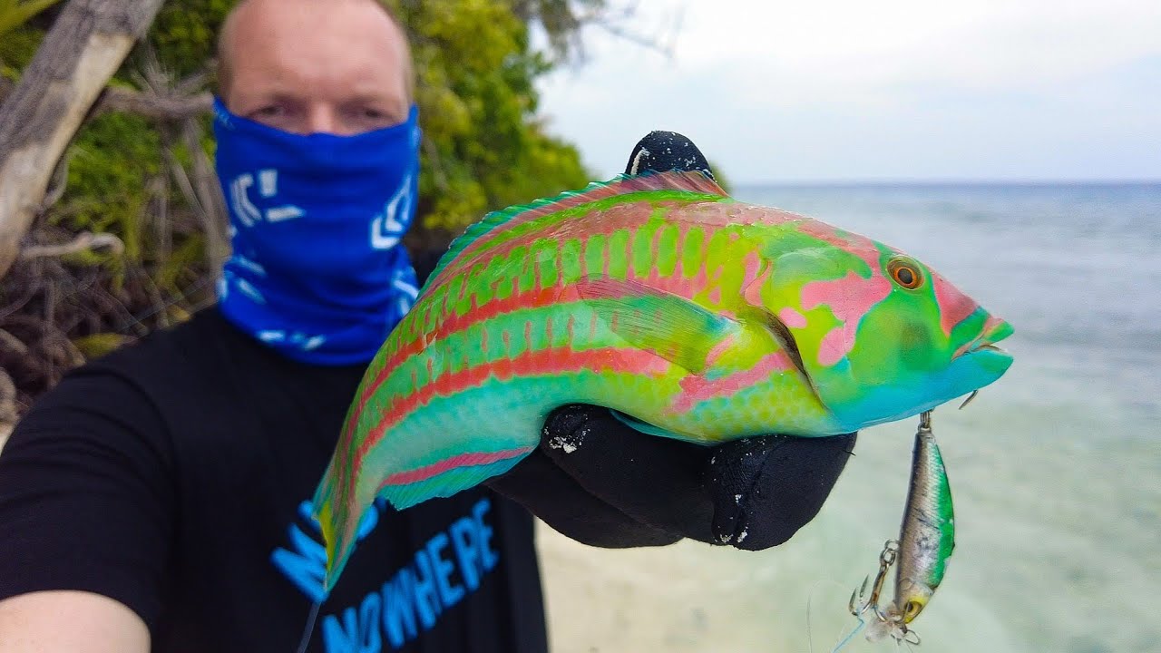 Multi-Species Fishing On Tropical Island - Maldives Flats Fishing - YouTube