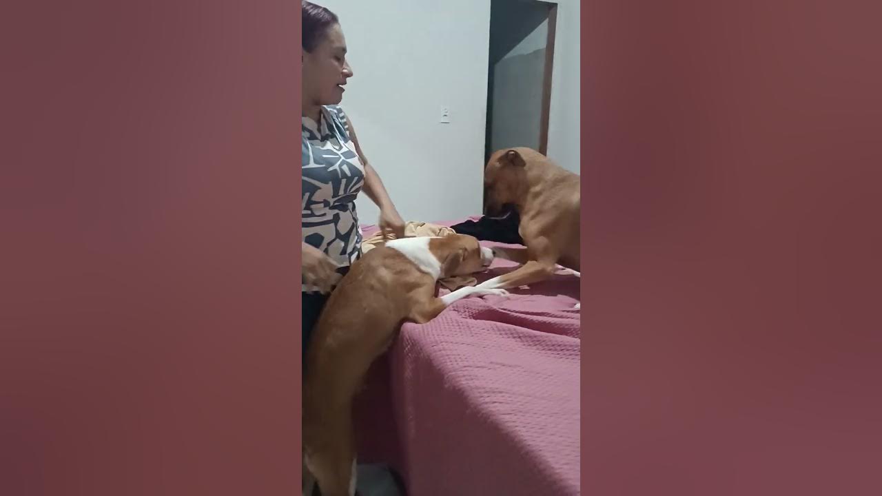 hoje é o aniversário da Mell, 26/06 - YouTube