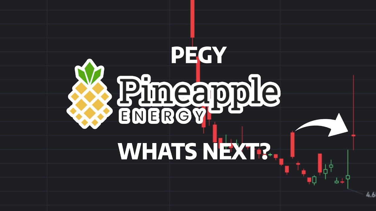 What's Next? - PEGY Stock Price Prediction - PEGY Stock Analysis ...