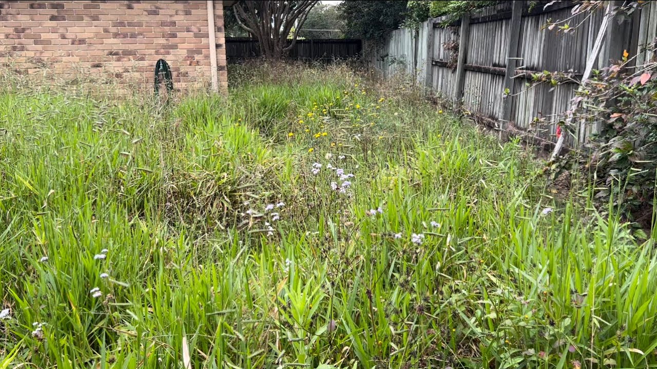 The Grass Slasher - overgrown yard makeover for FREE and outcome is ...