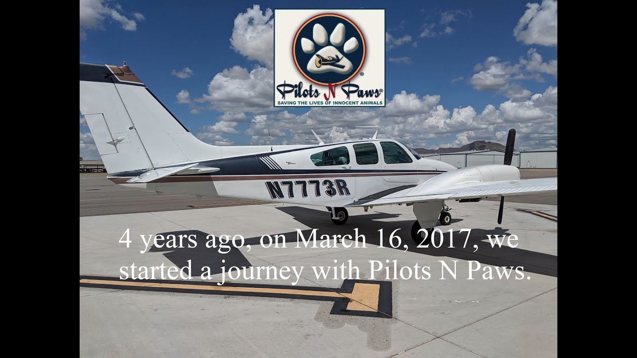 Remembering 100 Pilots N Paws Freedom Flights for rescue animals. - YouTube