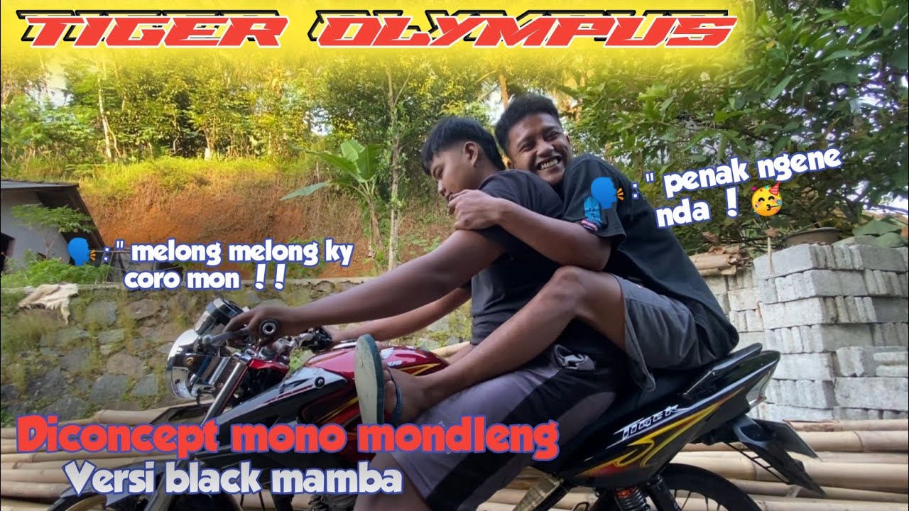 TIGER OLYMPUS VERSI BLACK MAMBA 😱 MONO MONDLENG RAK SEPELE ‼️#cjdwgank ...