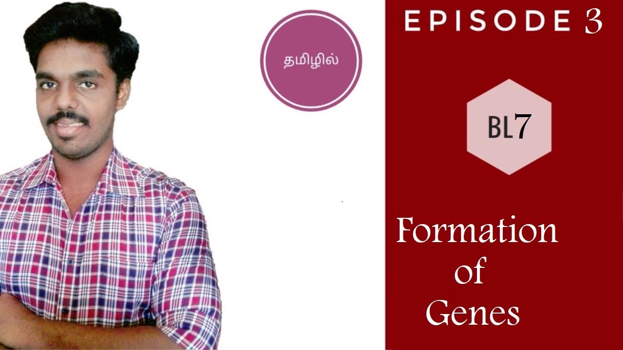 Formation of Genes | Molecular Biology & DNA Recombinant Technology ...