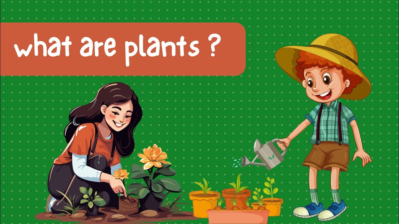 what are plants| Everything you need to know about plants - YouTube