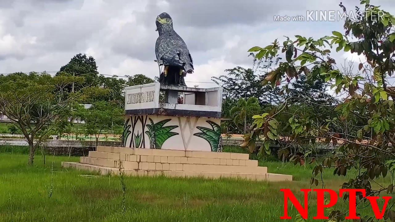 RSUD Panglima sebaya sebelum masuk wajib lihat jam dan burung beo Jumbo ...