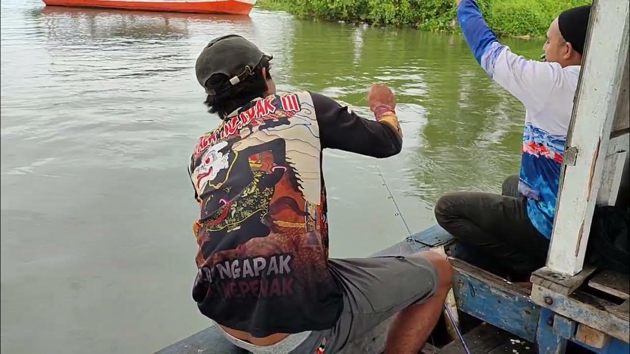MANCING SEPERTI INI PASTI BIKIN BETAH PARA ANGLER #mancing #fishing - YouTube