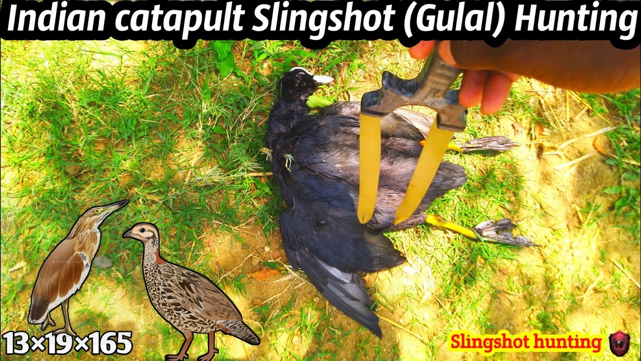 indian catapult slingshot hunting, gulal hunting, bushcraft slingshot ...
