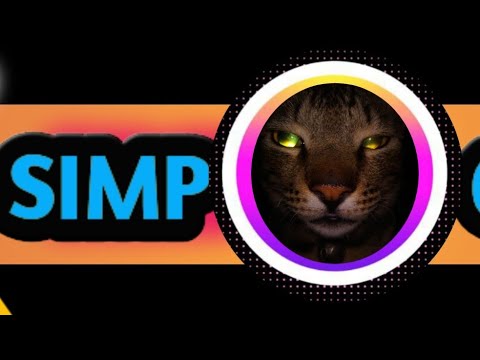 Simpo Cat is live - YouTube