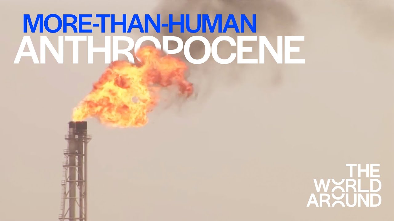 The More than Human Anthropocene | Feral Atlas at The World Around ...