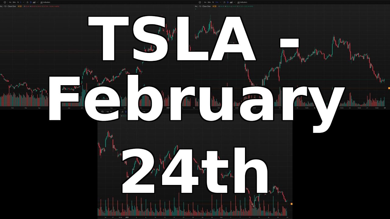 TSLA Stock: News & Chart Analysis - February 24, 2025 - YouTube