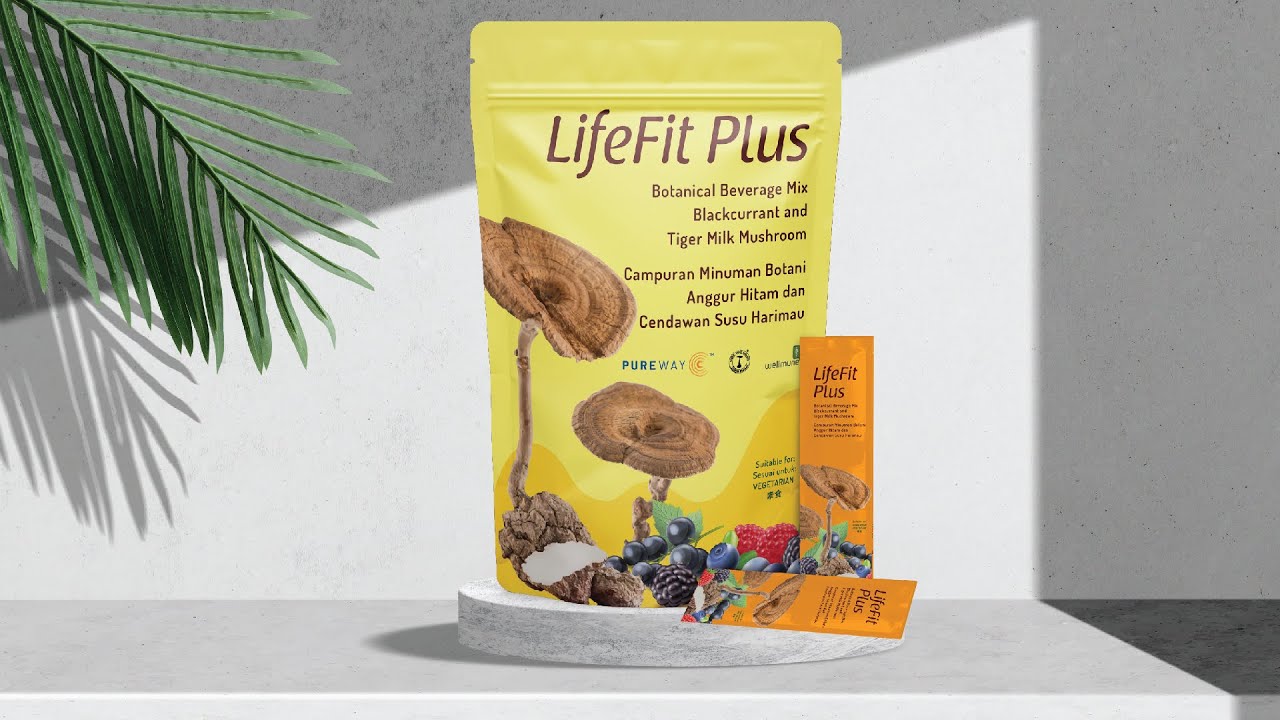 LifeFit Plus_English - YouTube