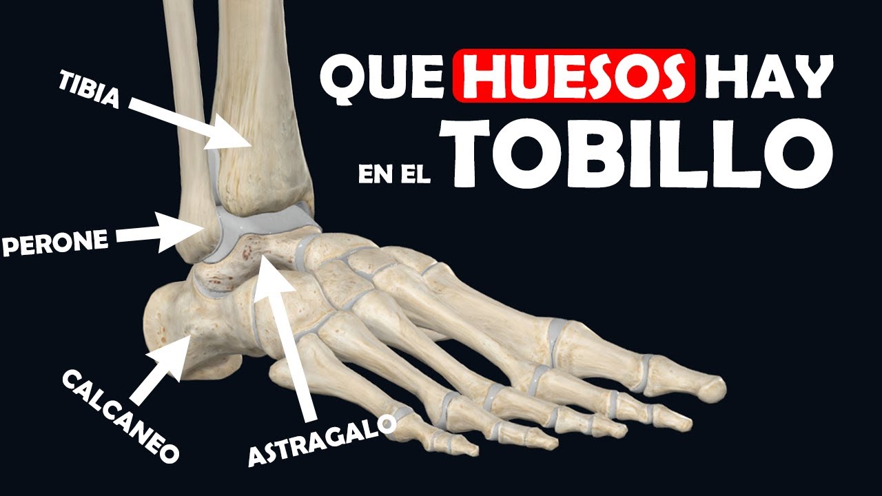 QUE ES REALMENTE EL TOBILLO: Huesos y articulaciones - Ep. 8 - YouTube