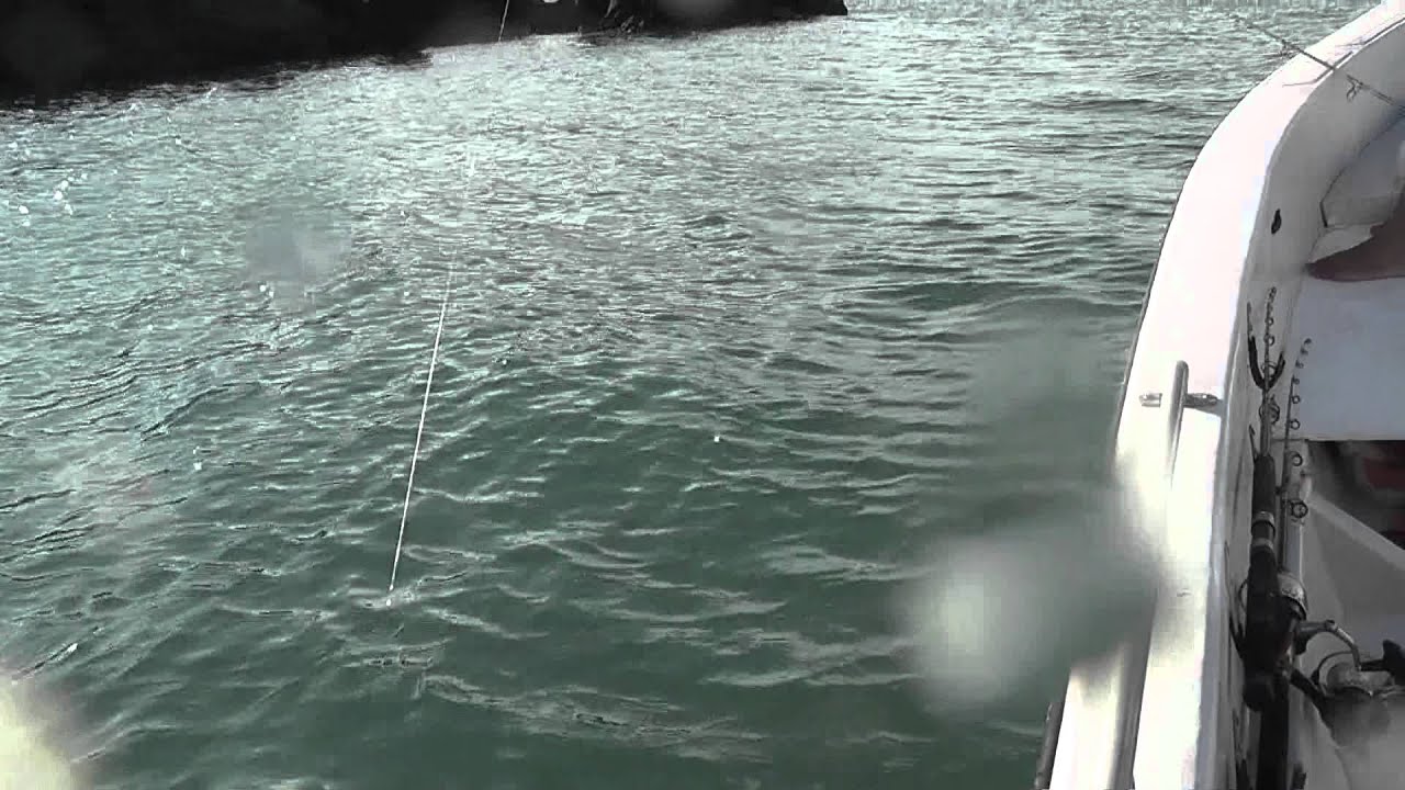 Fishing at One Tree Beach - Skippy Fun at Malcolm Island - YouTube