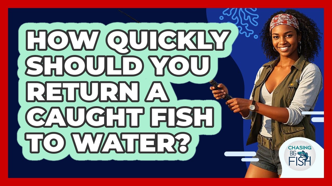 How Quickly Should You Return A Caught Fish To Water? - YouTube