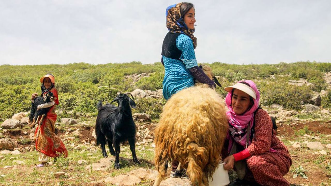IRAN village life - nomadic lifestyle - IRAN nomadic life - YouTube