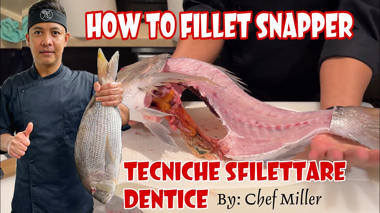 FILLETING SNAPPER FISH FOR SUSHI - YouTube