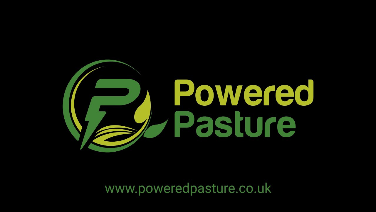 FREE RANGE EGGS | RotmellFarming