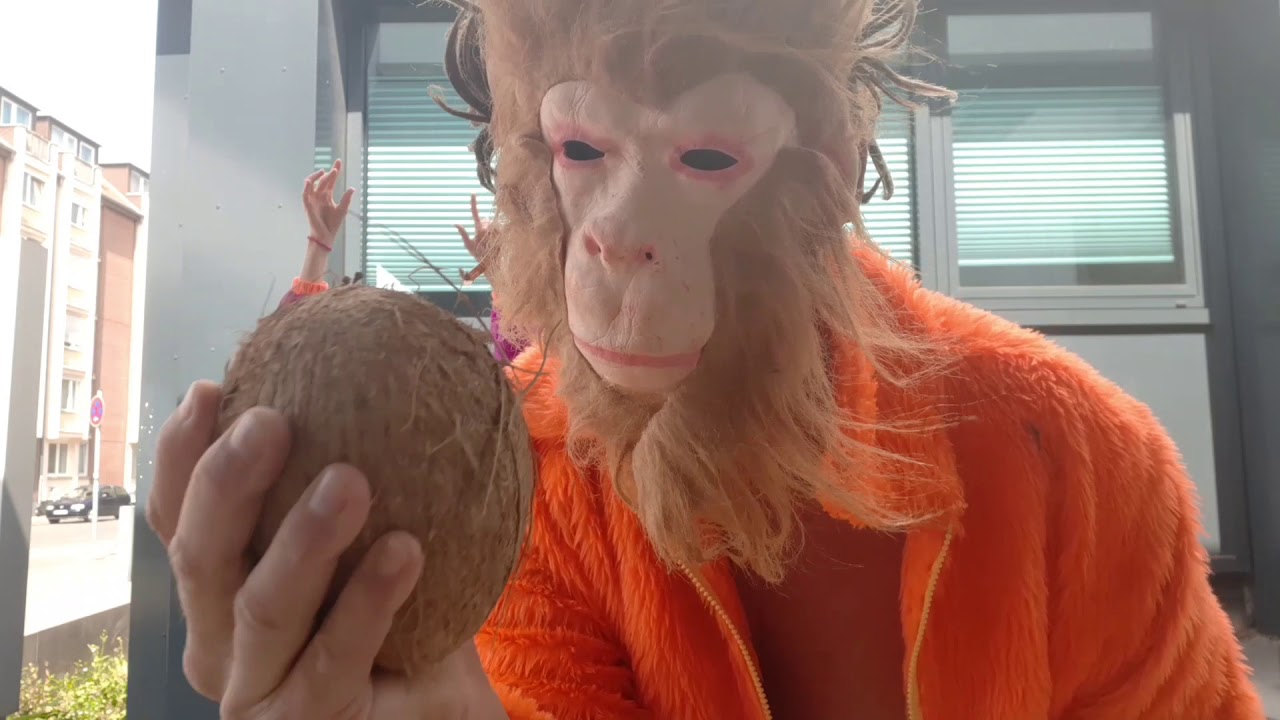 You ve got CV, i` ve got Coconut ! Monkey Frank Castro & Model Maria ...
