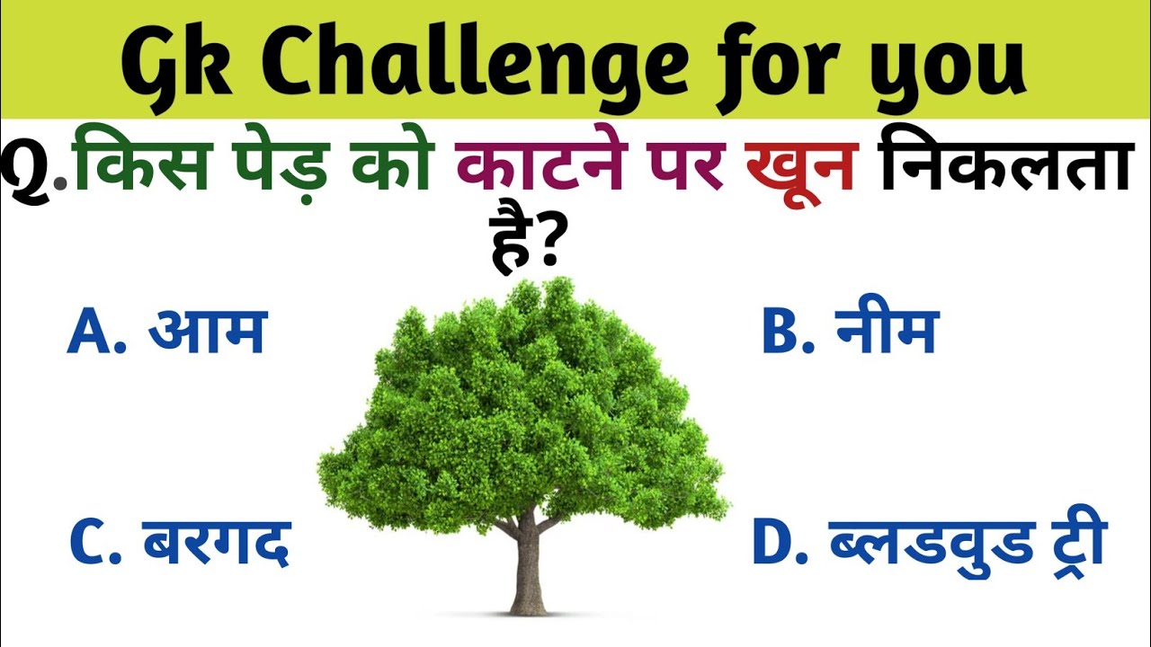 GK Question || GK In Hindi || GK Question and Answer || GK Quiz || MR GK STUDY|| - YouTube