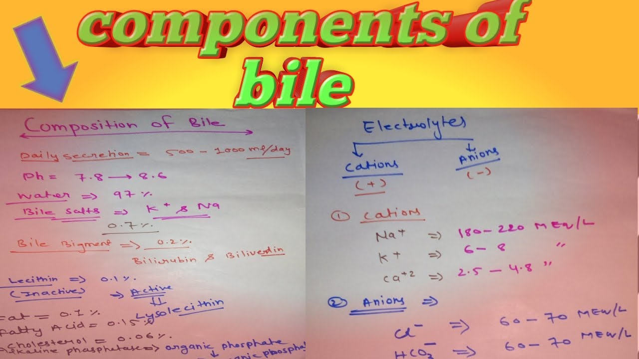 Composition of bile - YouTube