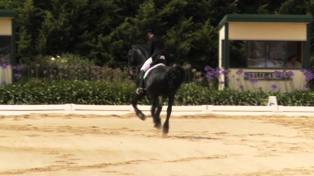 Natasha Althoff-Kelley and Ebony Park Abe CDN Saddleworld Dressage ...