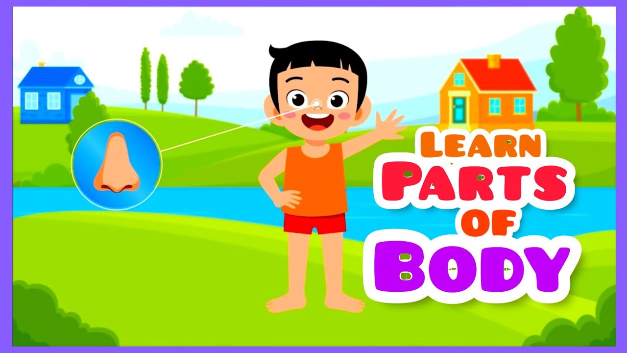 Learn Parts Of Body Name 🙋🧍♂️👀👃👂🖐parts Of Body Name In English 👁🦷👅👄🧍human Body Parts💁♂️🧏👨🏫👩🏫
